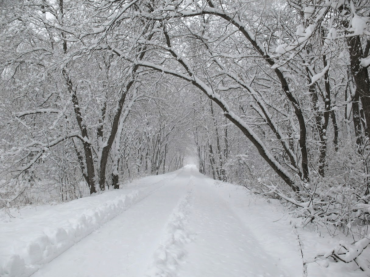 Get Smarter: The Lake Minnetonka Regional Trail (LRT) | Shorewood ...
